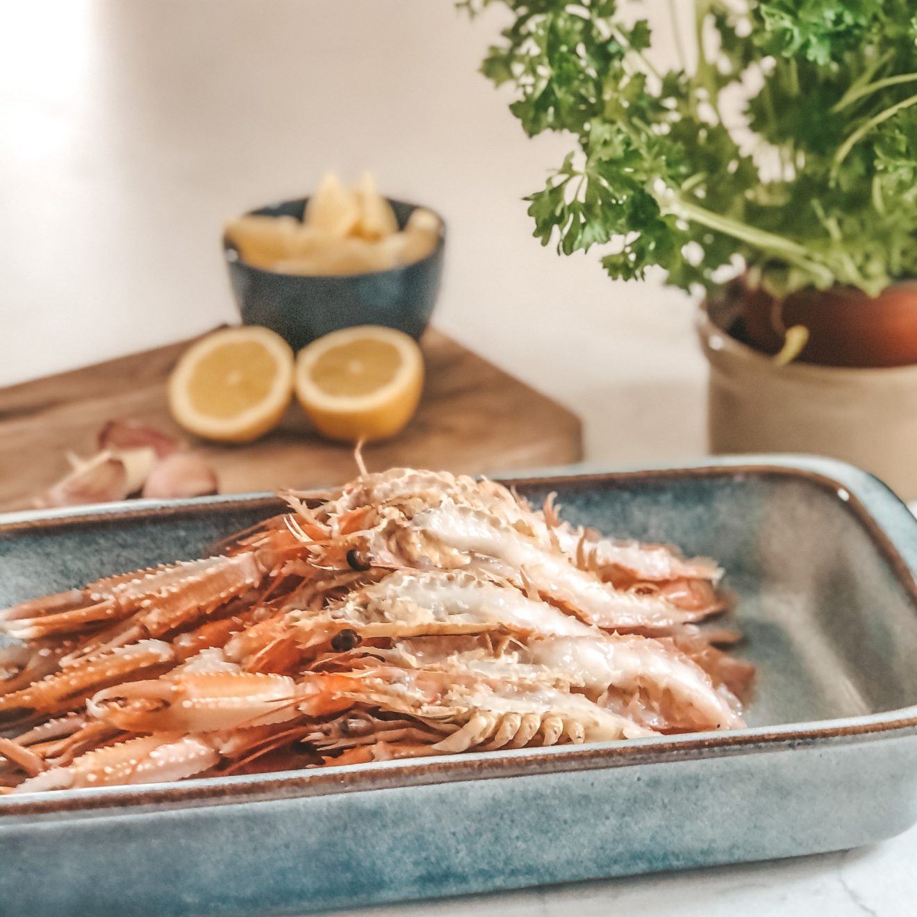 Fisk og skaldyr - et naturprodukt fra Færøerne og Nordatlanten.